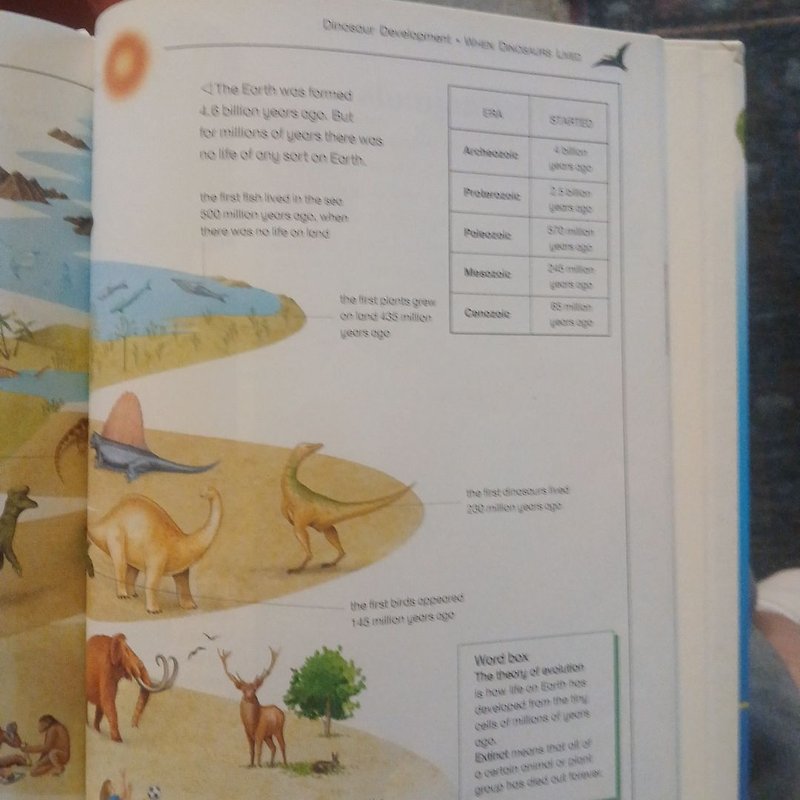 Learning Adventure Library by Kingfisher, Hardcover | Pangobooks