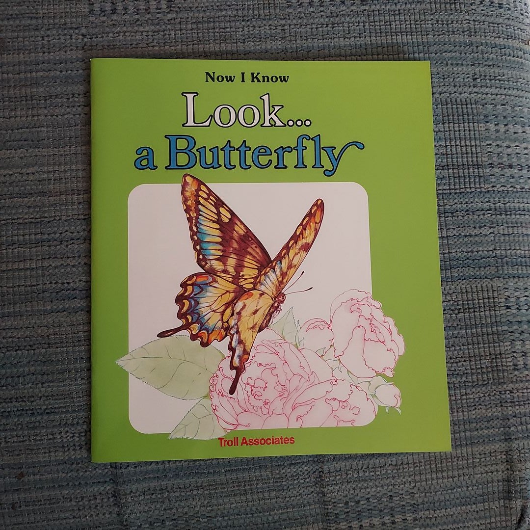 Look - A Butterfly by David Cutts