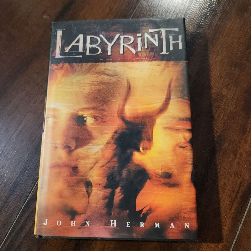 Labyrinth by John Herman