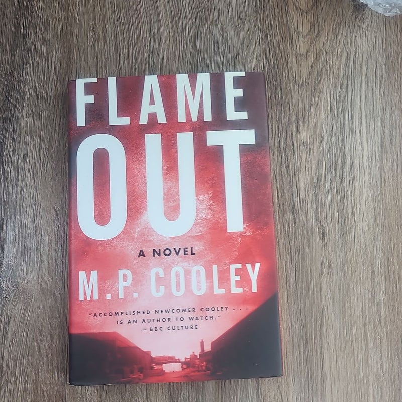 Flame Out by M. P. Cooley