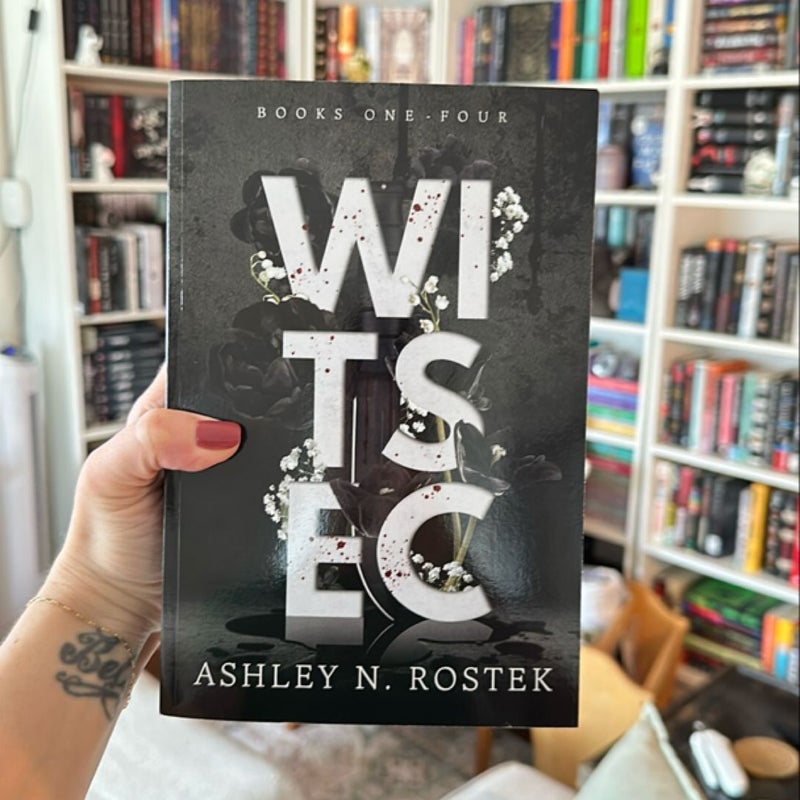 Witsec by Ashley N. Rostek