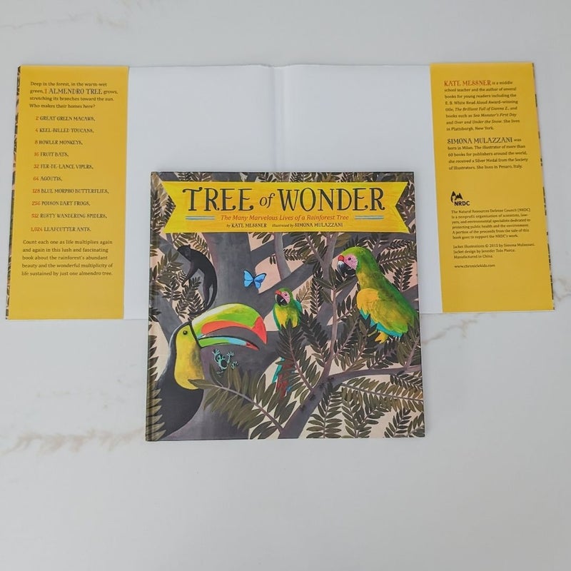 Tree of Wonder by Kate Messner, Hardcover | Pangobooks