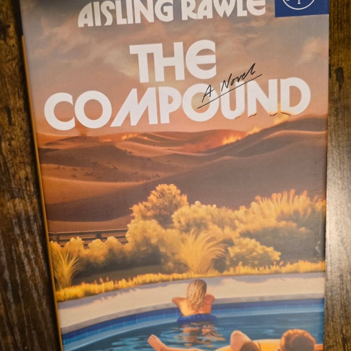 The Compound: a GMA Book Club Pick by Aisling Rawle