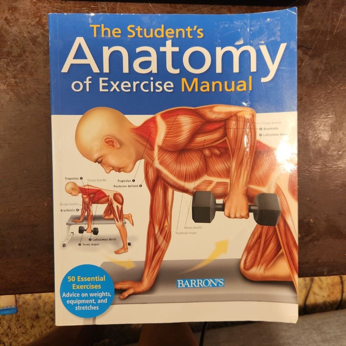 Student's Anatomy of Exercise Manual by Ken Ashwell