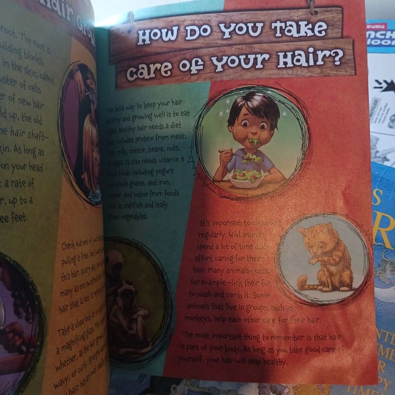 What If You Had Animal Hair? by Sandra Markle