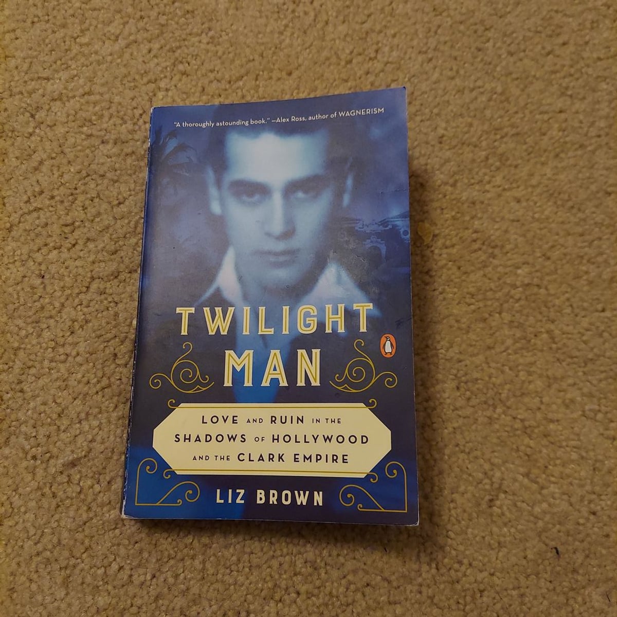 Twilight Man by Liz Brown