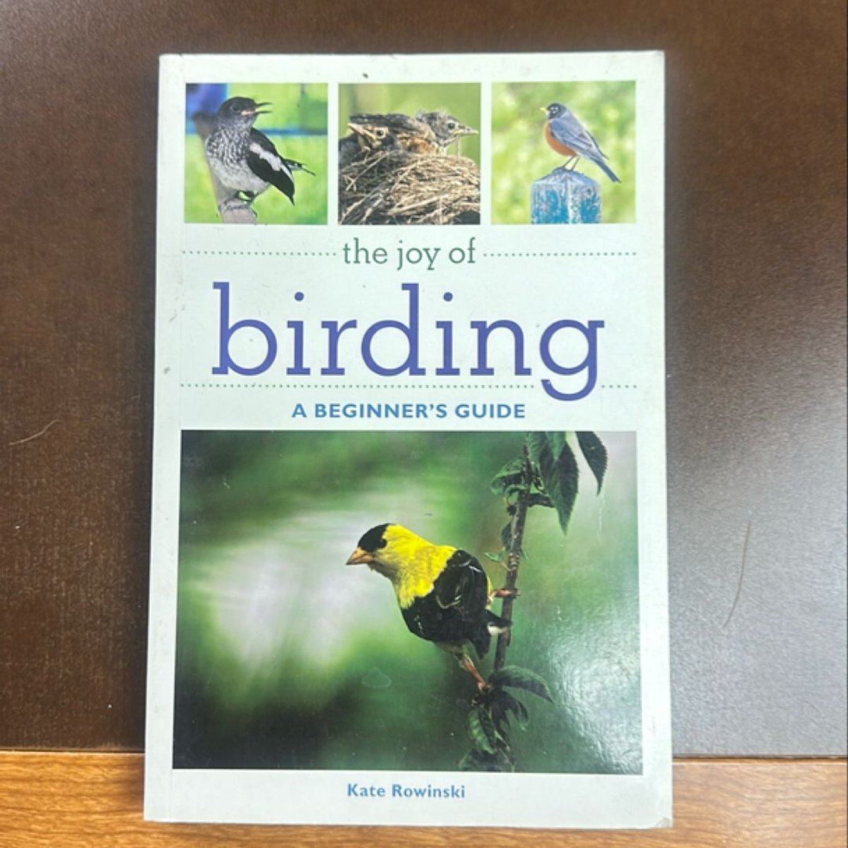 The Joy of Birding by Kate Rowinski