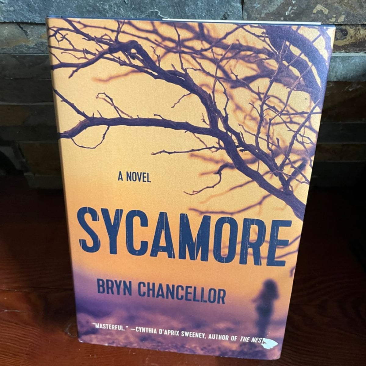Sycamore by Bryn Chancellor