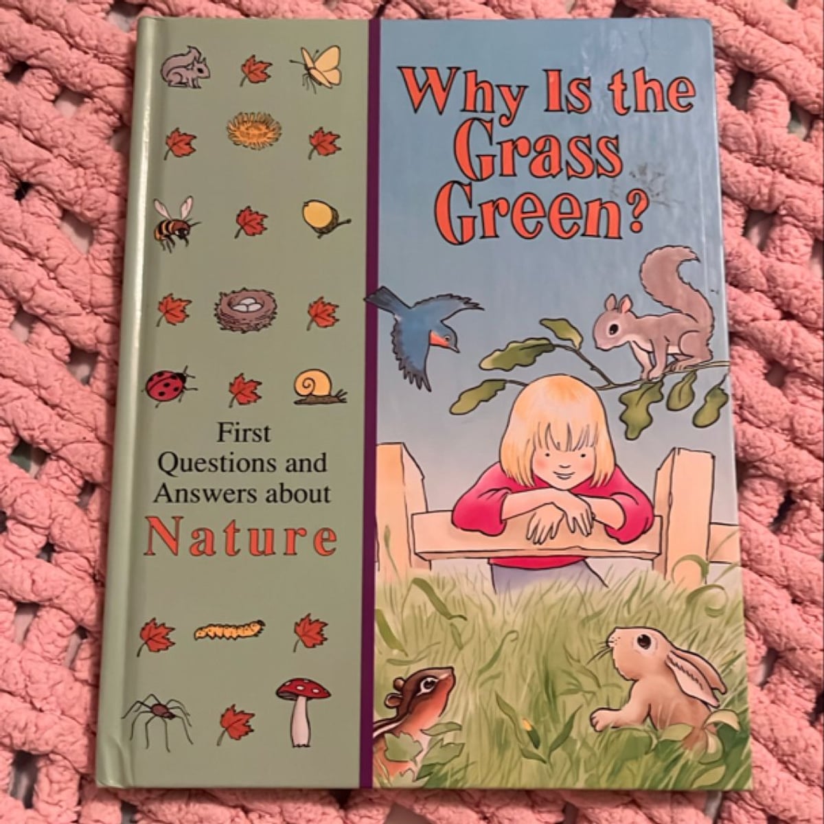 Why Is the Grass Green? by Neil Kagan