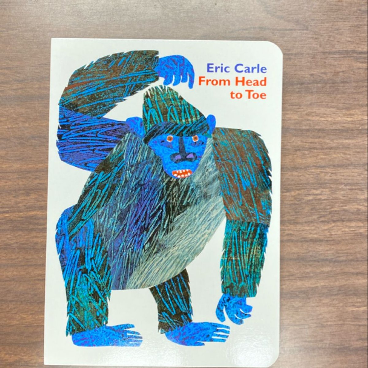 From Head to Toe by Eric Carle