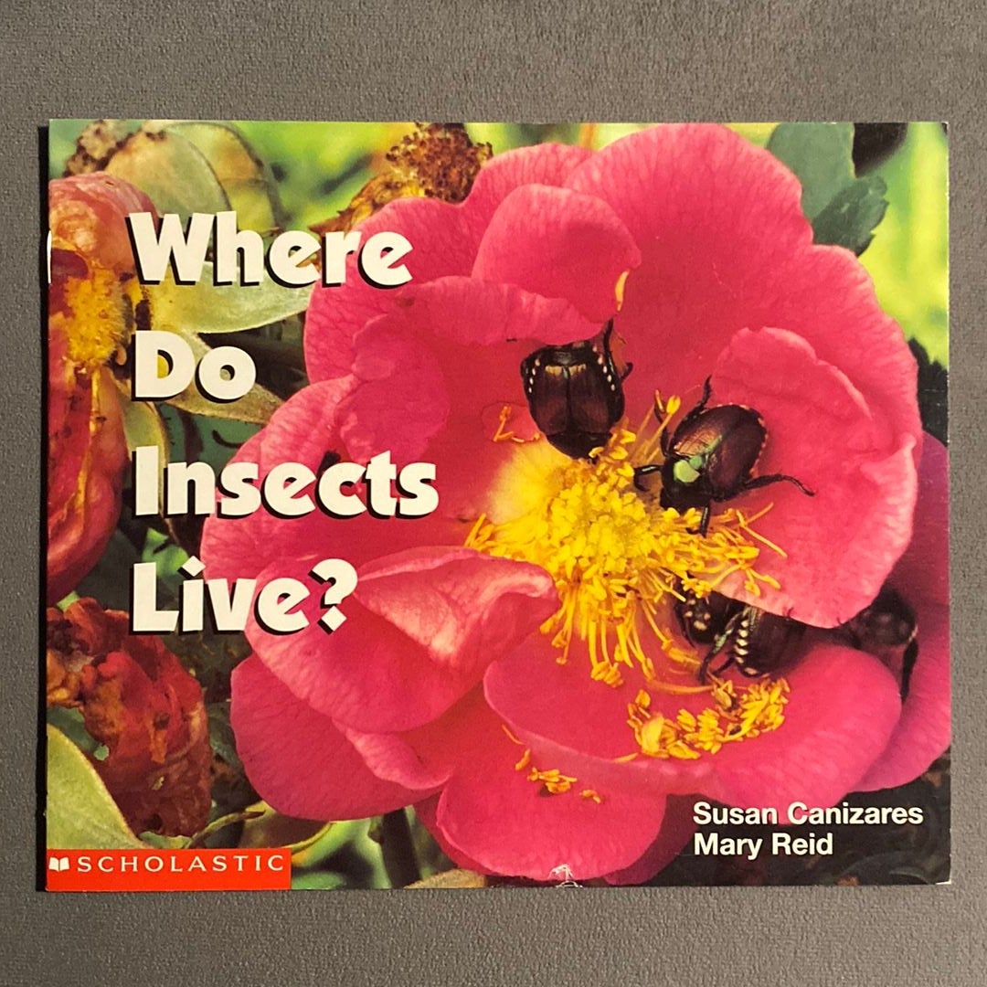 Where Do Insects Live? by Susan Canizares, Paperback | Pangobooks