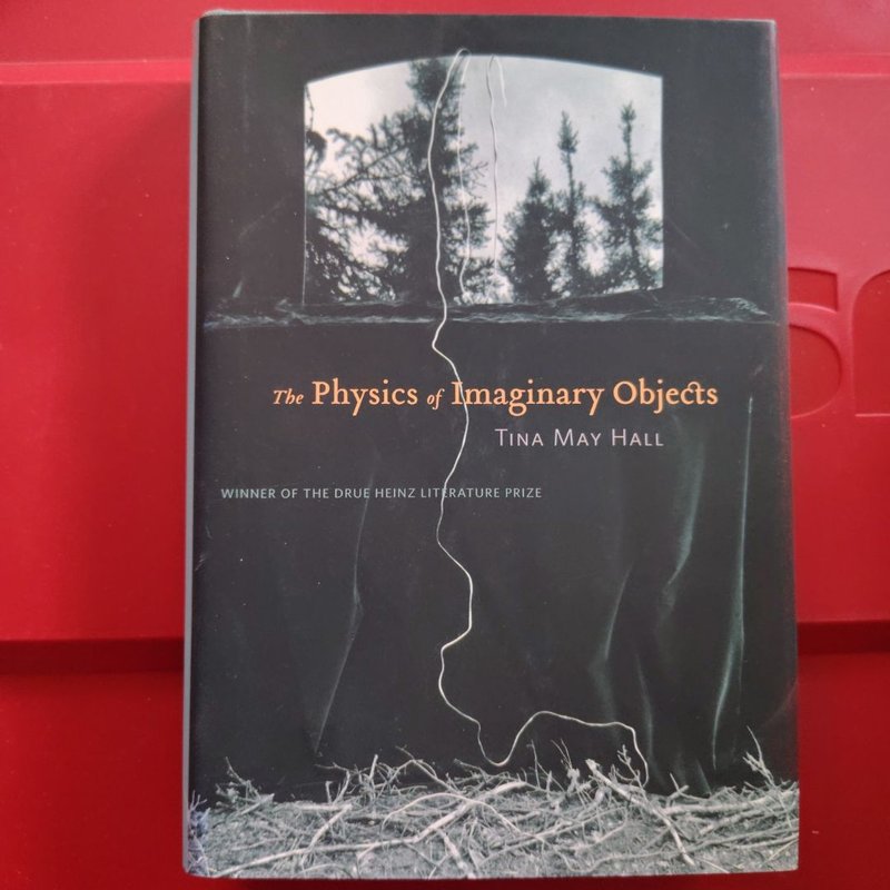 The Physics of Imaginary Objects by Tina May Hall