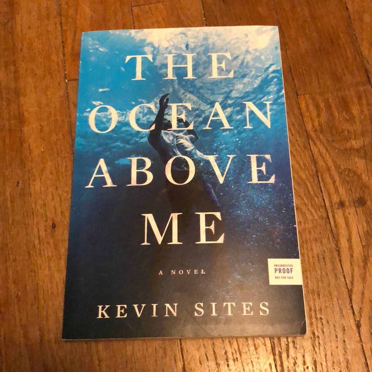 The Ocean above Me by Kevin Sites
