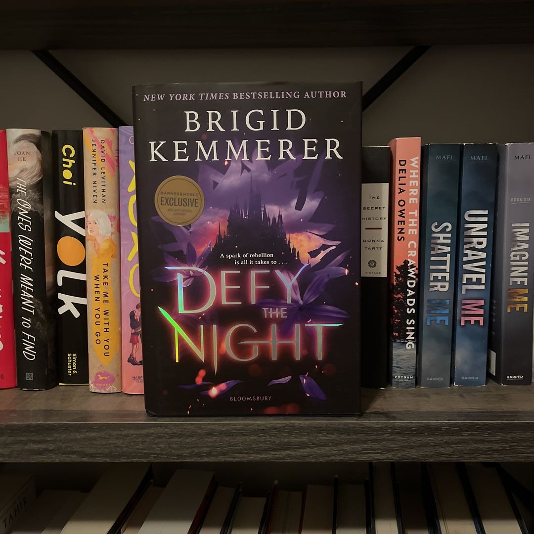 Defy the Night by Brigid Kemmerer, Hardcover | Pangobooks