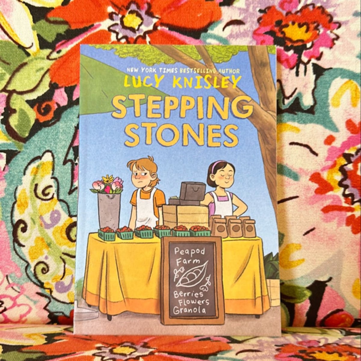 Stepping Stones by Lucy Knisley, Paperback | Pangobooks