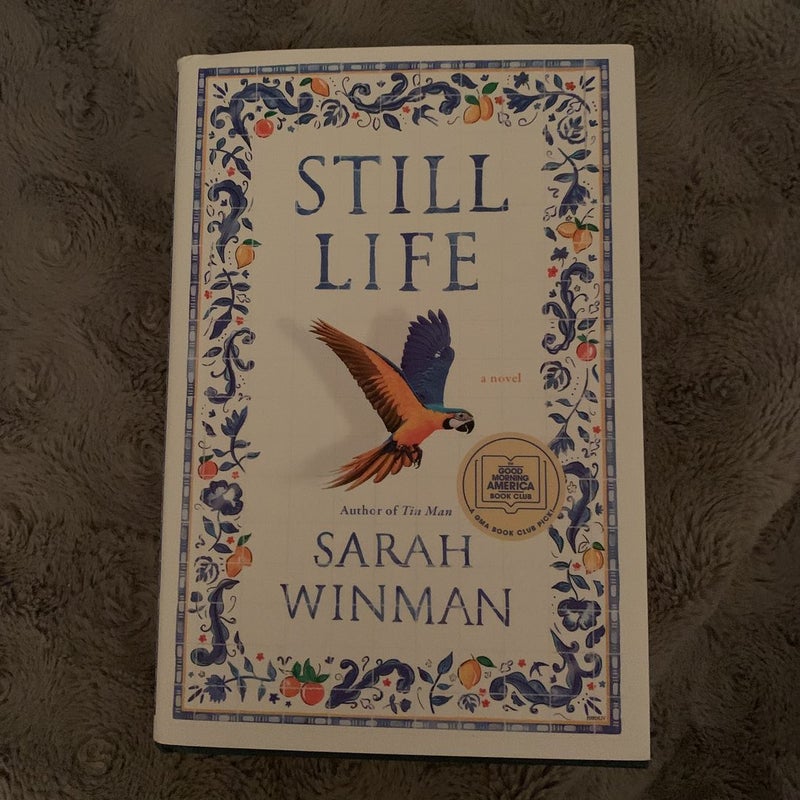 Still Life by Sarah Winman, Hardcover | Pangobooks
