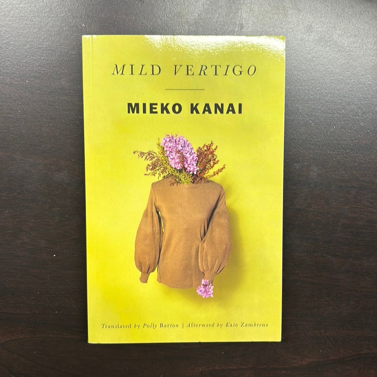 Mild Vertigo by Mieko Kanai, Polly Barton, Kate Zambreno