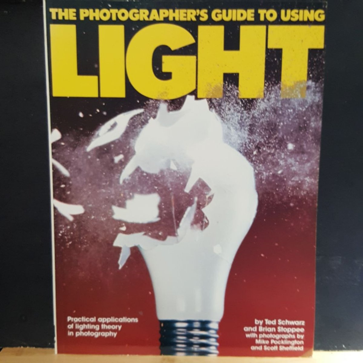 The Photographer's Guide to Using Light by Ted Schwarz, Brian Stoppee ...