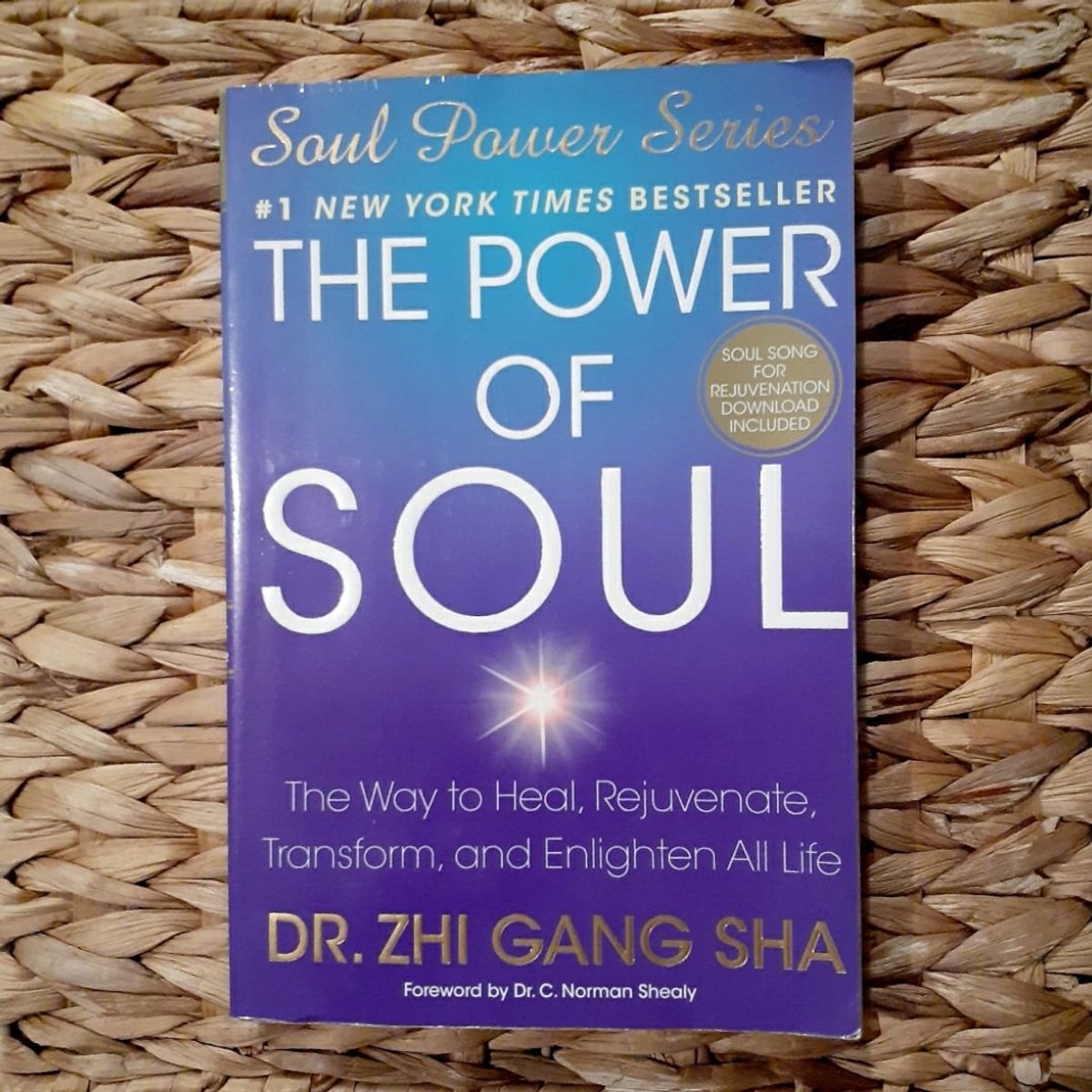 The Power of Soul by Zhi Gang Sha