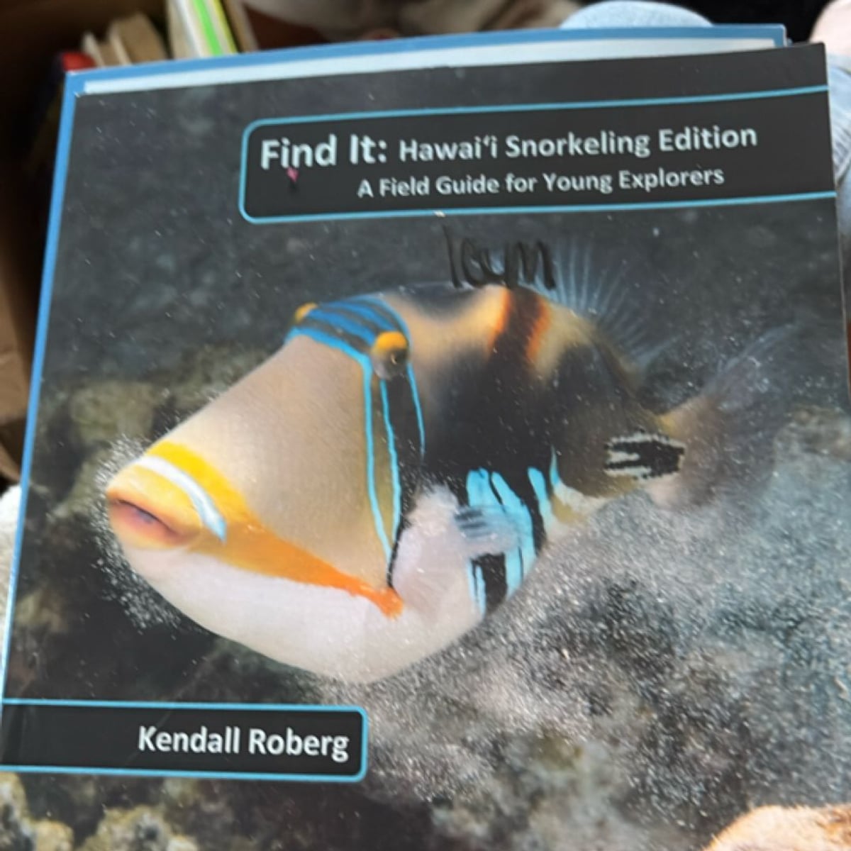 Find It: Hawaii Snorkeling Edition by Kendall Roberg