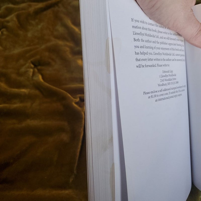 Magical Power for Beginners by Deborah Lipp