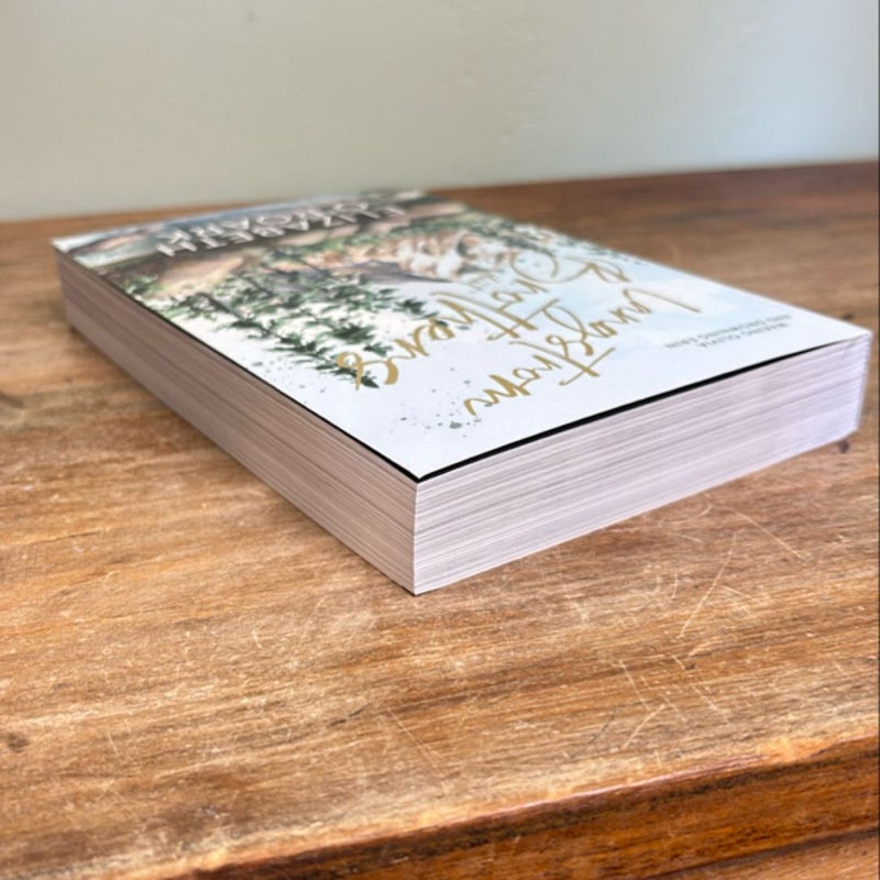 Langstrom Brothers Duet by Elizabeth O’Roark, Paperback | Pangobooks