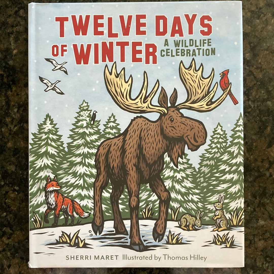 Twelve Days of Winter by Sherri Maret