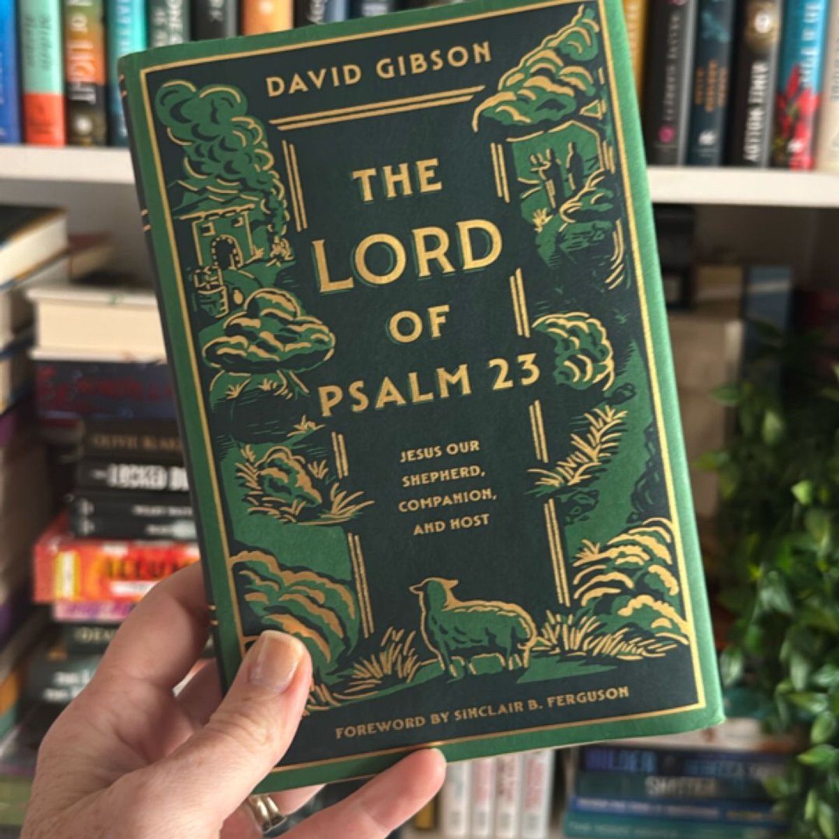The Lord of Psalm 23 by David Gibson, Sinclair B. Ferguson