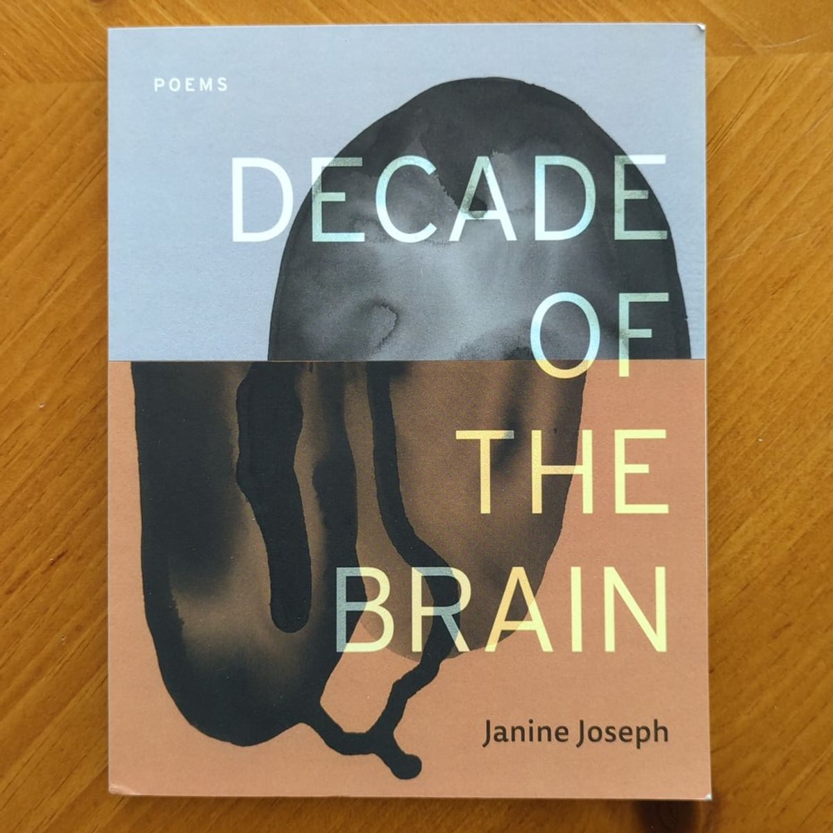 Decade of the Brain: Poems by Janine Joseph