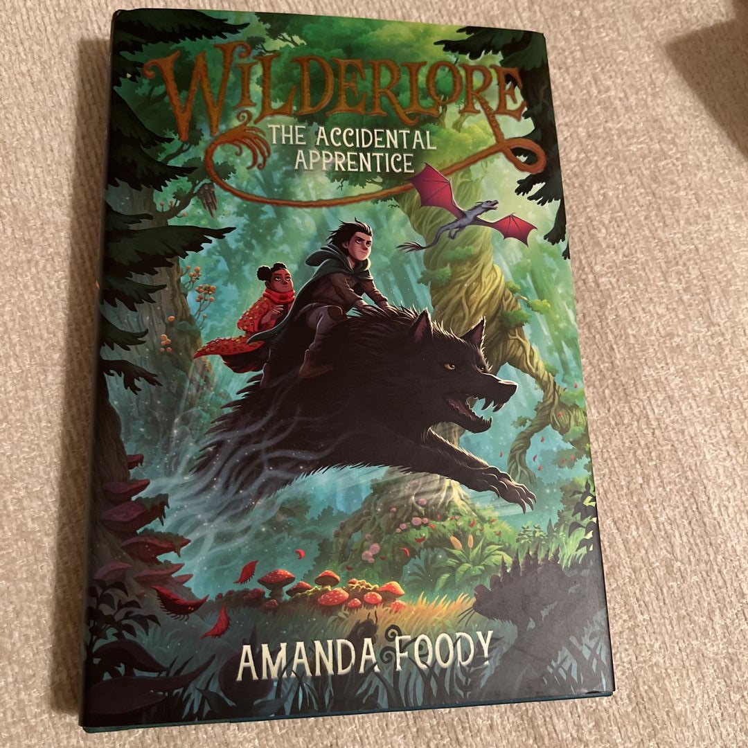 The Accidental Apprentice by Amanda Foody, Hardcover | Pangobooks