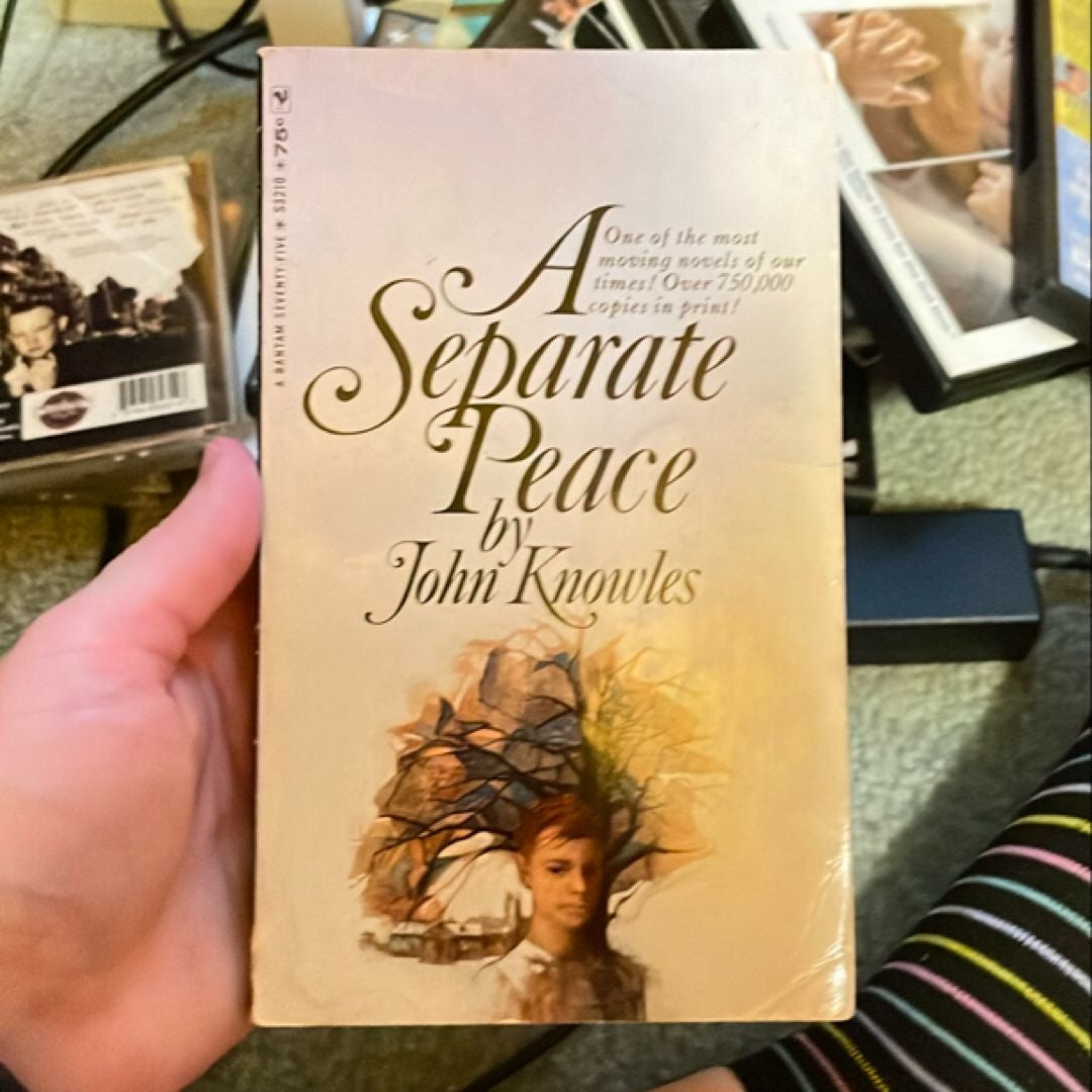 A Separate Peace by John Knowles, Paperback | Pangobooks