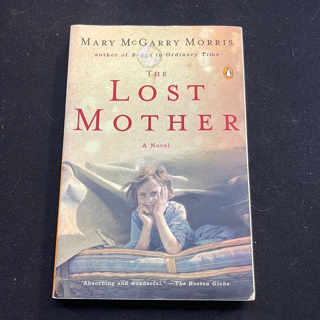 The Lost Mother by Mary McGarry Morris, Paperback | Pangobooks