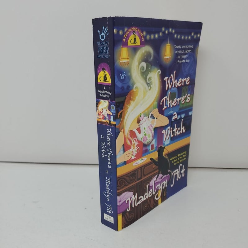 Where There's a Witch by Madelyn Alt