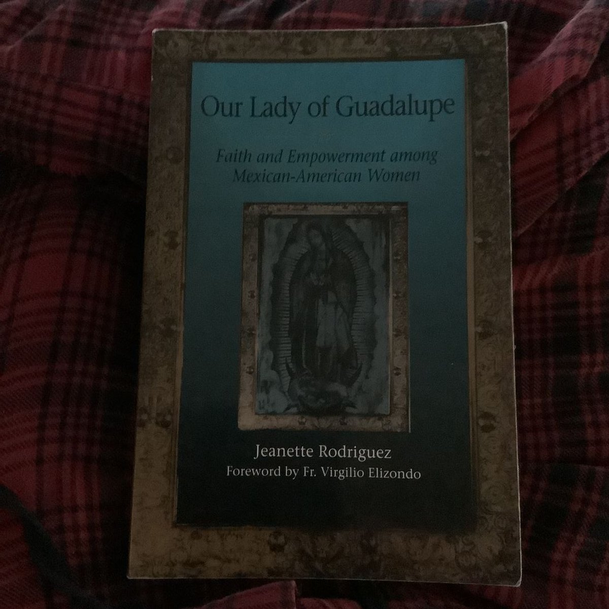 Our Lady of Guadalupe by Jeanette Rodríguez, Virgilio Elizondo