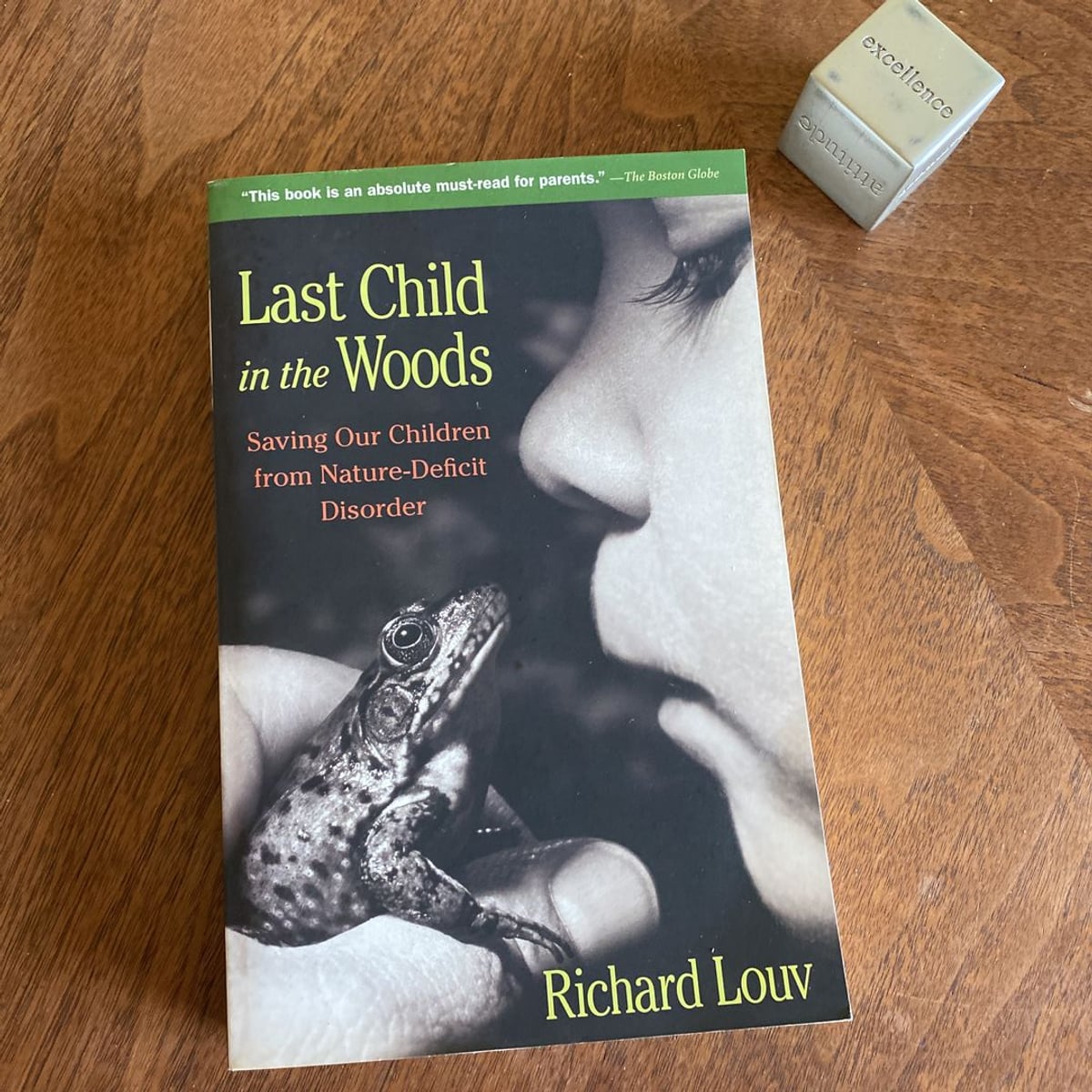 Last Child in the Woods by Richard Louv