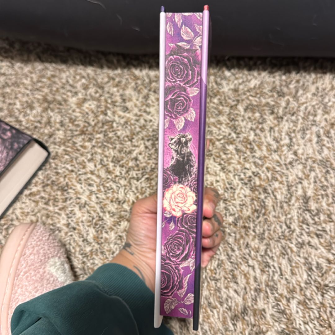 Never The Rises by Jennifer K. Lambert, Hardcover | Pangobooks