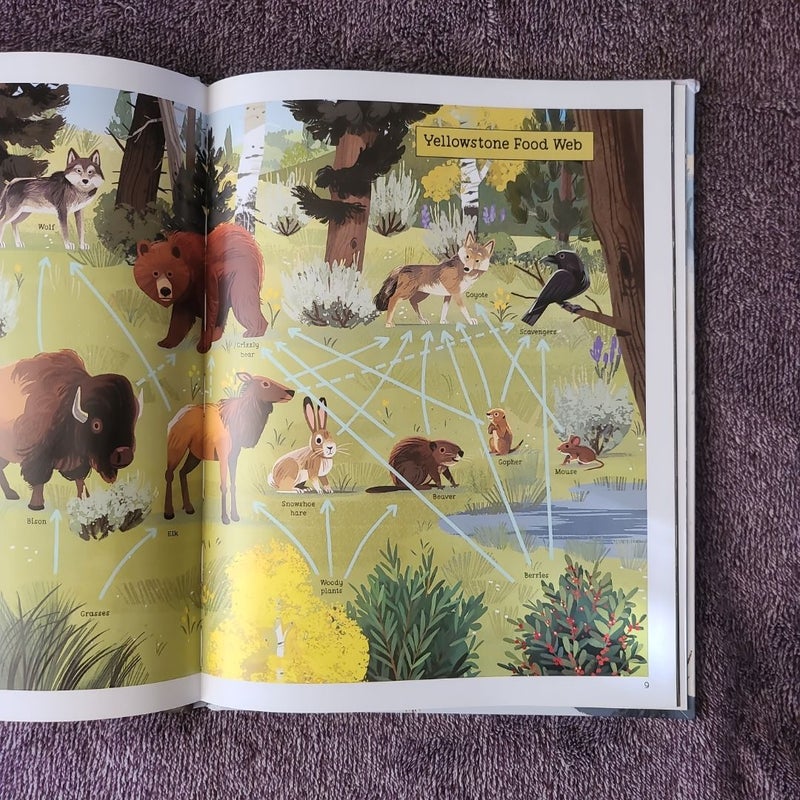 Bringing Back the Wolves by Jude Isabella