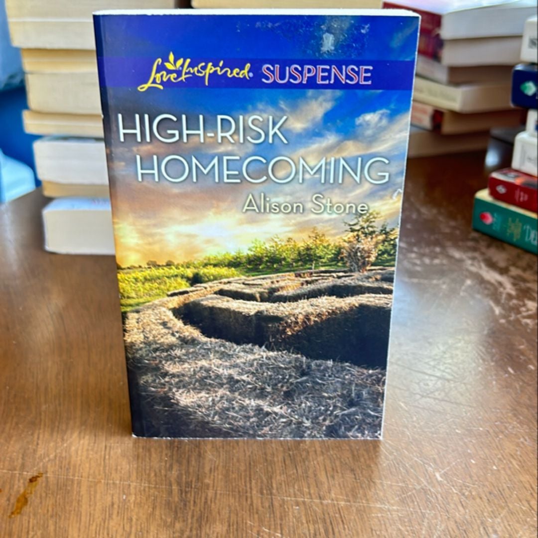 High-Risk Homecoming by Alison Stone