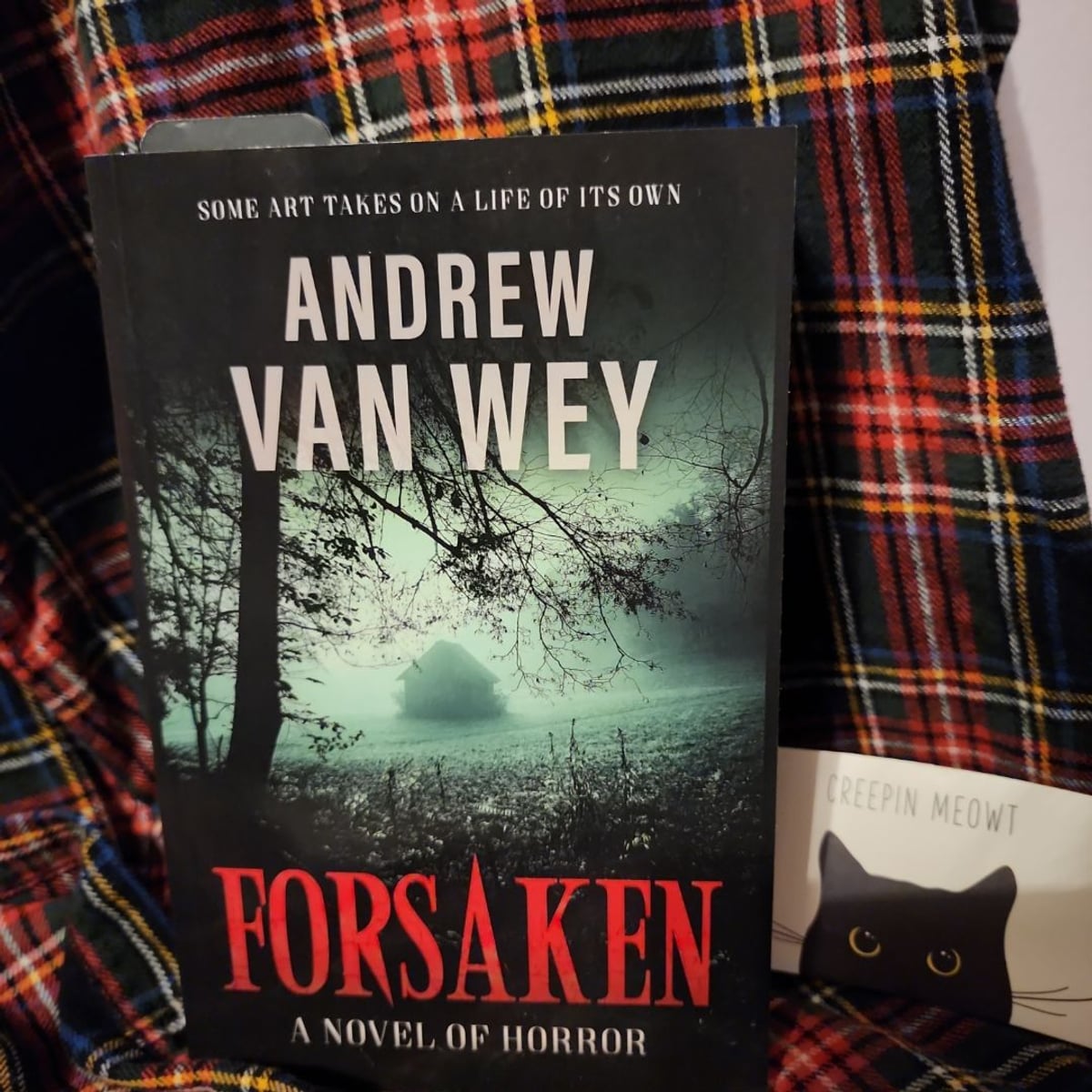 Forsaken by Andrew Van Wey