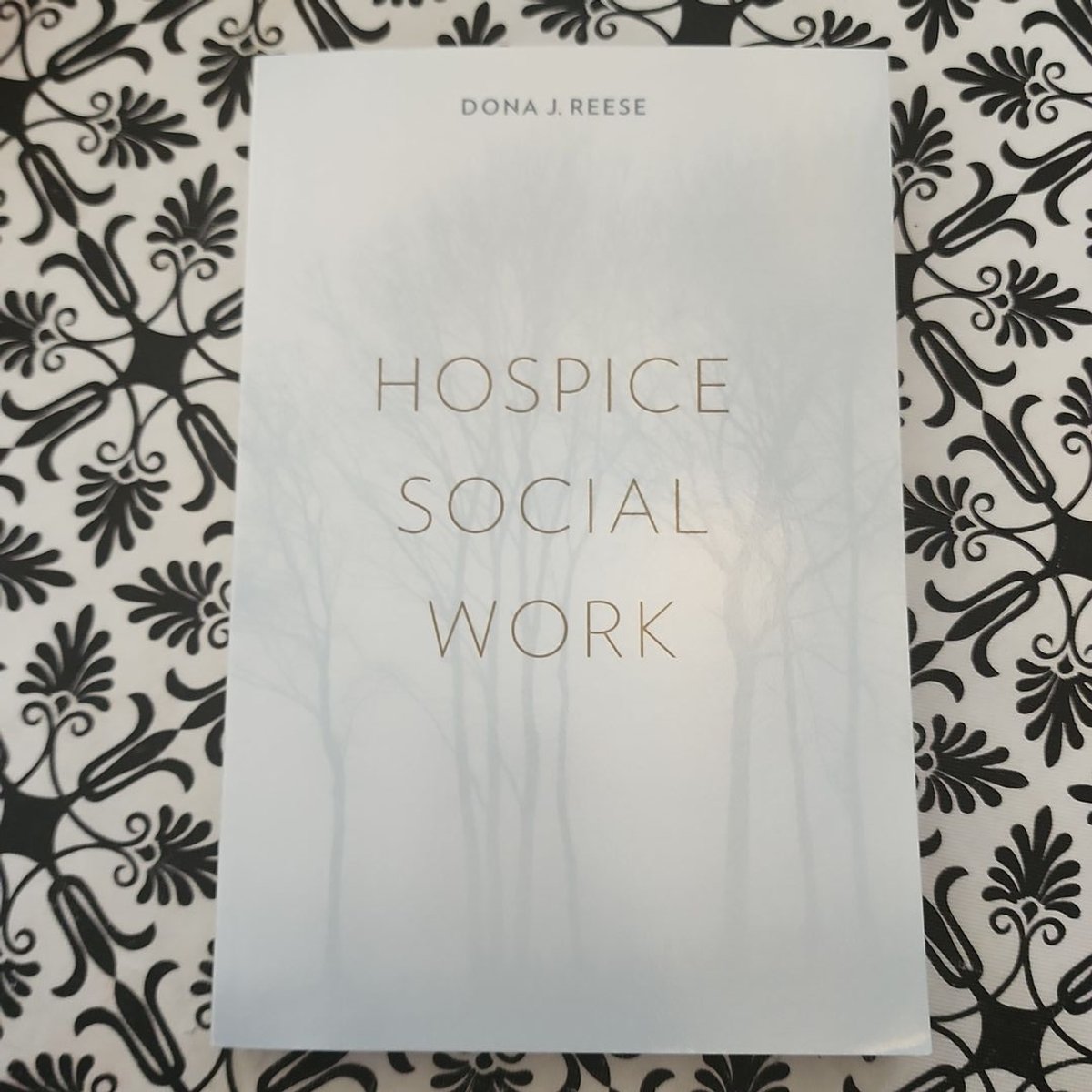 Hospice Social Work by Dona Reese