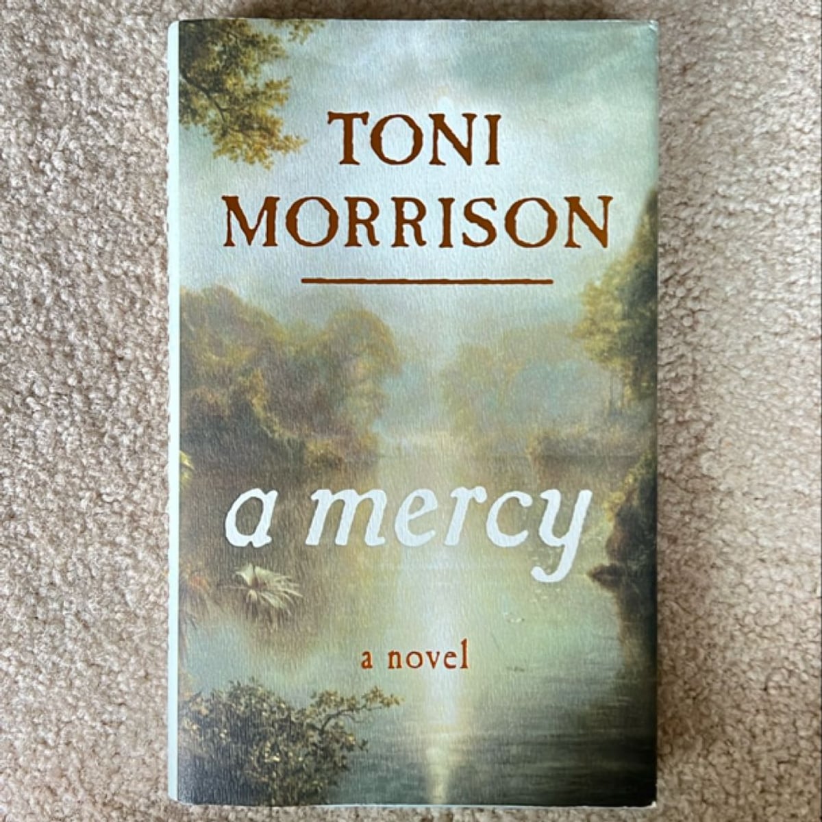 A Mercy by Toni Morrison