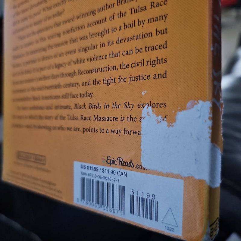 Black Birds in the Sky by Brandy Colbert