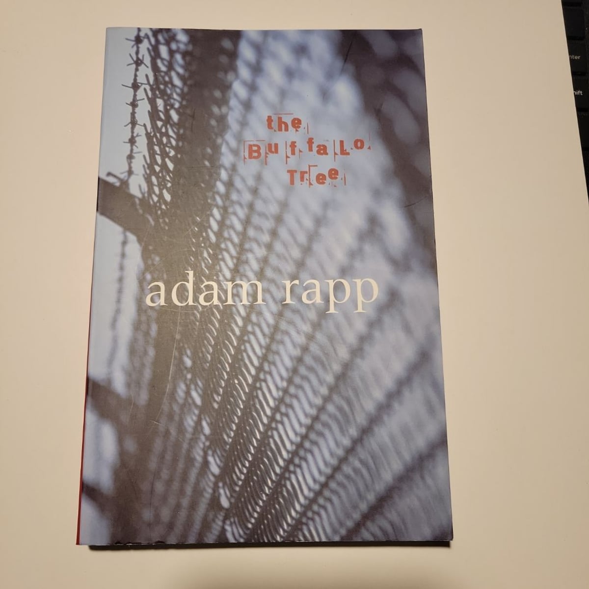 The Buffalo Tree by Adam Rapp