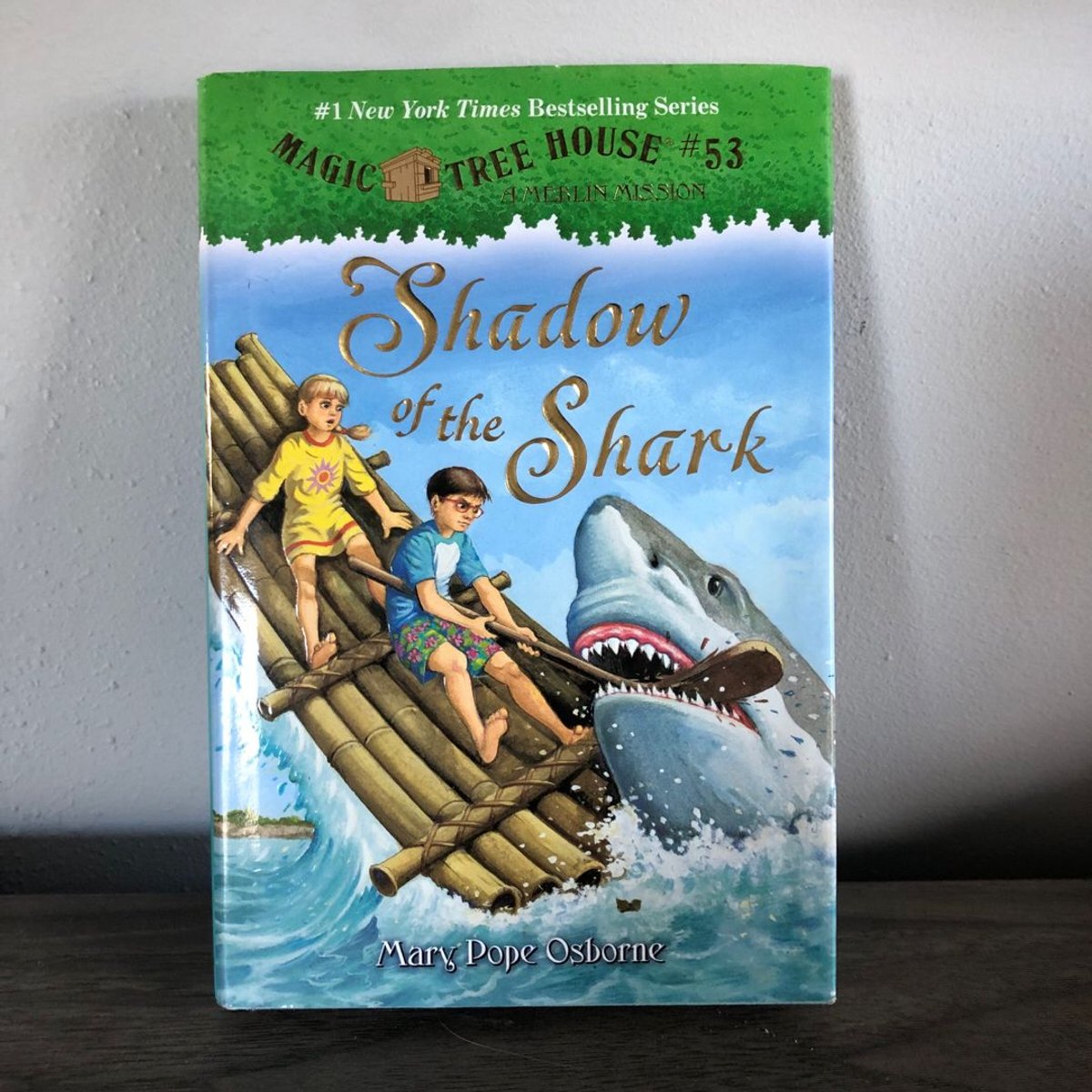 Shadow of the Shark by Mary Pope Osborne