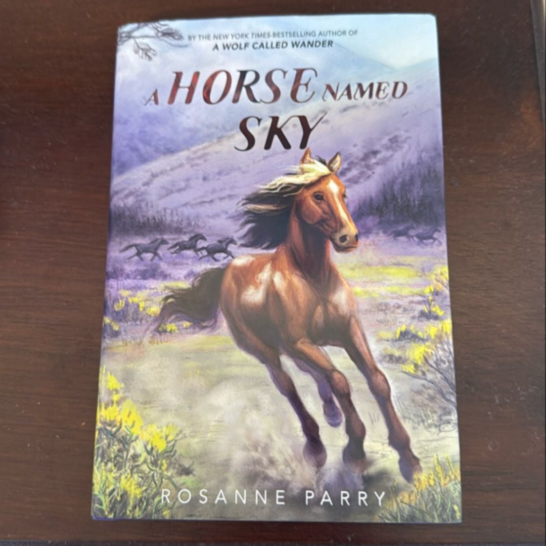 A Horse Named Sky by Rosanne Parry