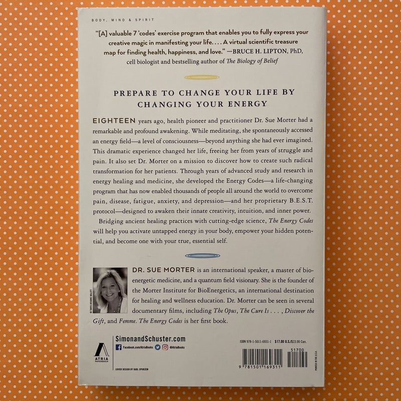 The Energy Codes by Sue Morter, Paperback | Pangobooks