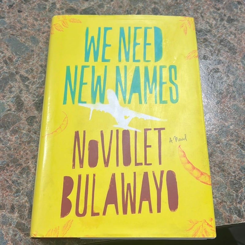 We Need New Names by NoViolet Bulawayo
