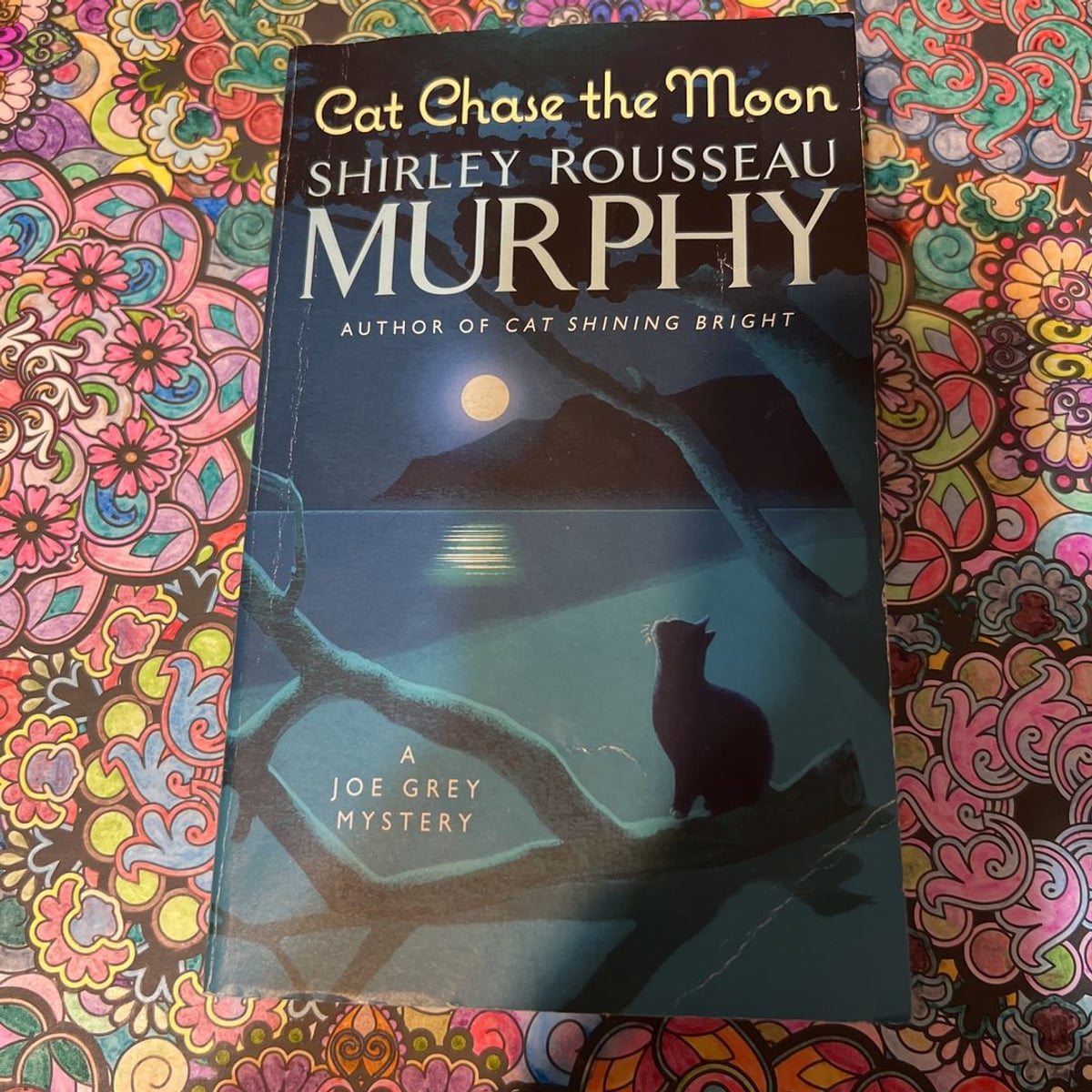 Cat Chase the Moon by Shirley Rousseau Murphy, Paperback | Pangobooks