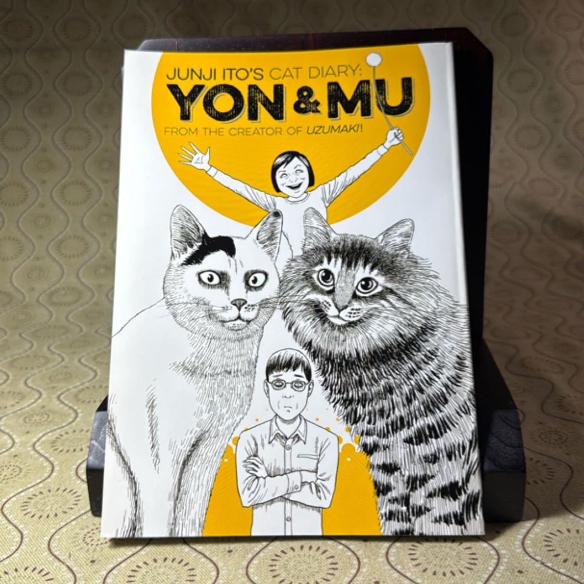 Junji Ito's Cat Diary: Yon and Mu Collector's Edition by Junji Ito
