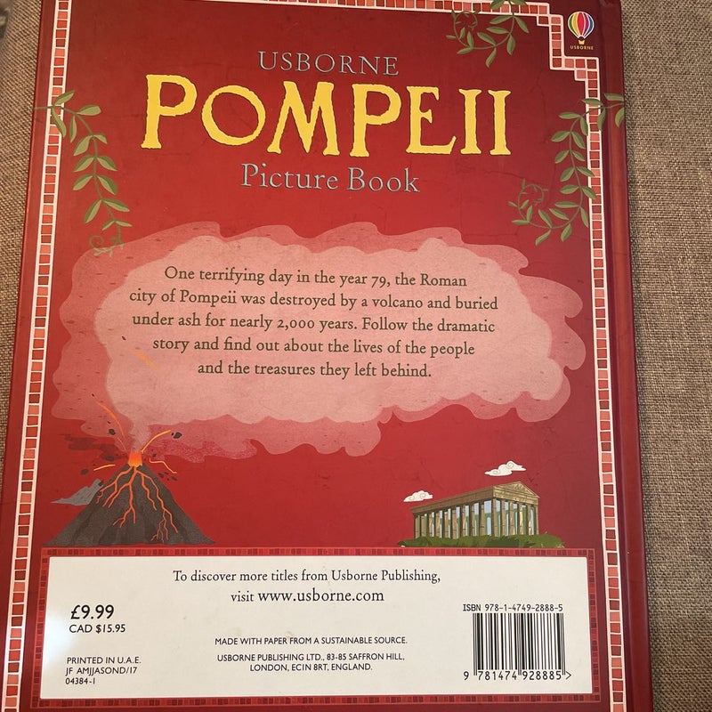 Pompeii Picture Book by Struan Reid
